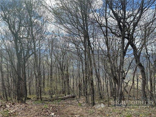 Silver Fox Dr Lot 41, Blowing Rock, NC 28605