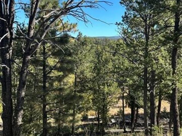 Silver Feather Trl, Pecos, Plot For Sale