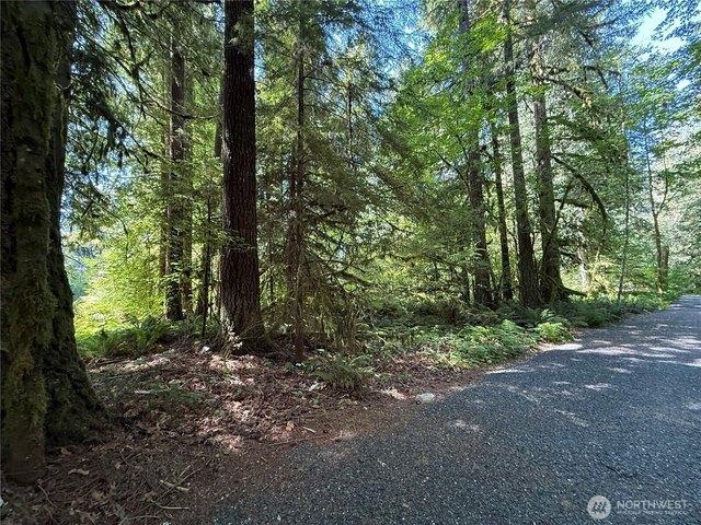 Silver Lake Rd, Maple Falls, WA 98266