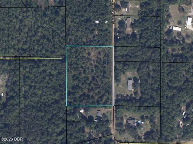Silver Moss Cir, Middleburg, FL 32068