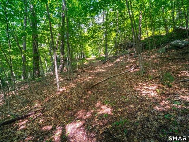 Silver Springs Dr, Haddam, Plot For Sale