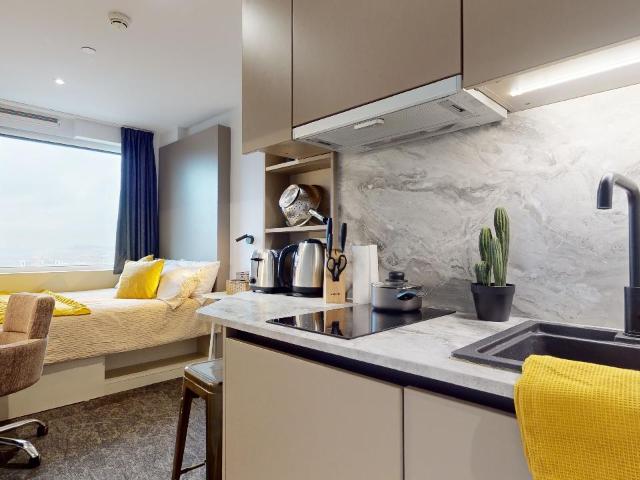 Silver Studio, at iQ Vega