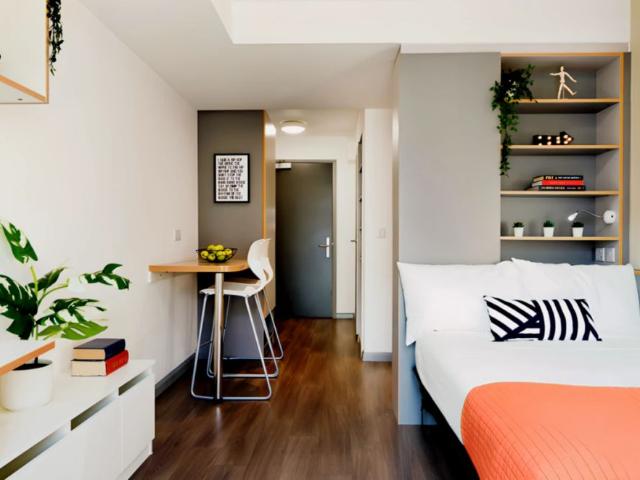 Silver Studio Accessible Single Occupancy