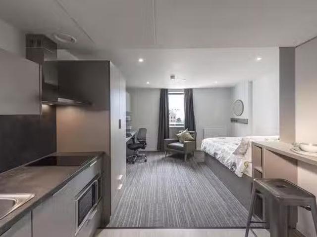 Silver Studio Plus
