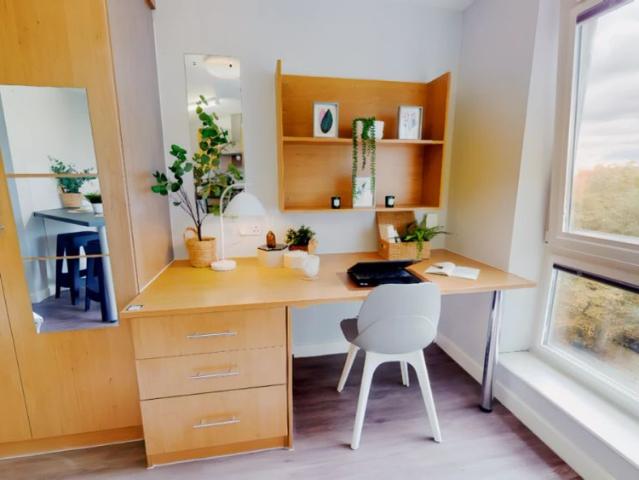 Silver Studio Plus