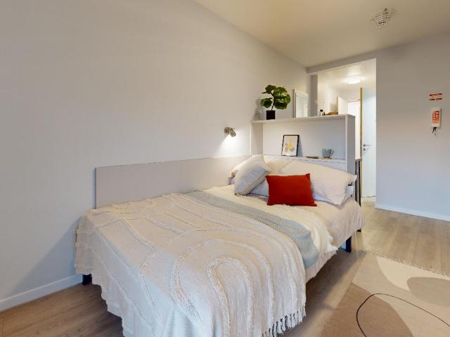 Silver Studio Plus, at iQ City