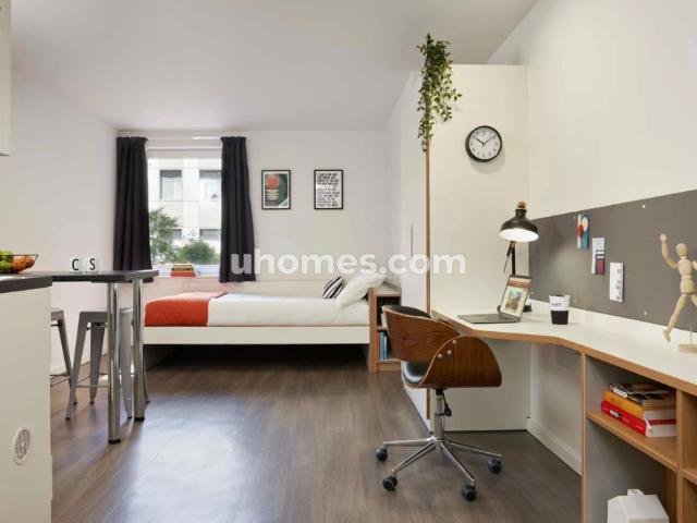 Silver Studio Single Occupancy