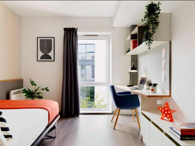 Silver Studio Single Occupancy