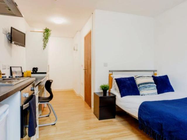 Silver Studio