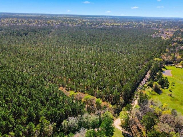 Silver Star Rd, Sour Lake, TX 77659