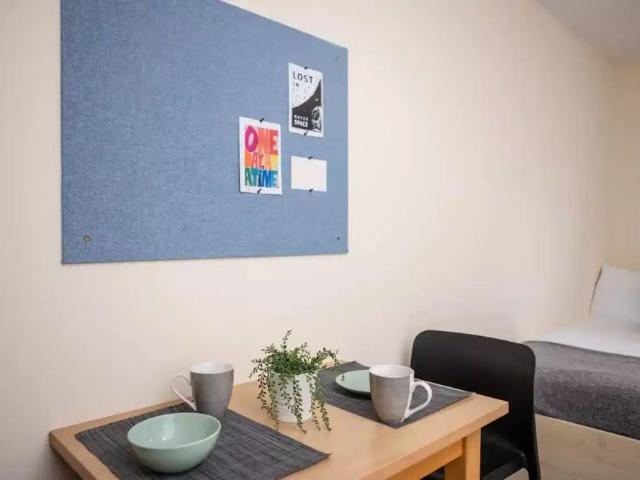 Silver Plus Studio