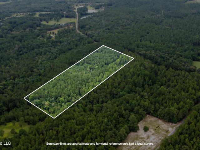 Silver Run progress Road, Perkinston, MS 39573