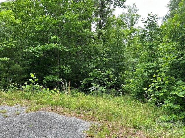 Silverstone Dr Units 16 & 17, Hendersonville, NC 28792