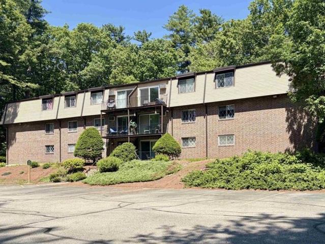 Silvestri Cir Unit,derry, Condo For Sale