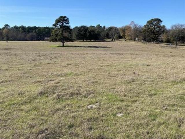 Silk Tree Rd Lot 1, Gilmer, TX 75645