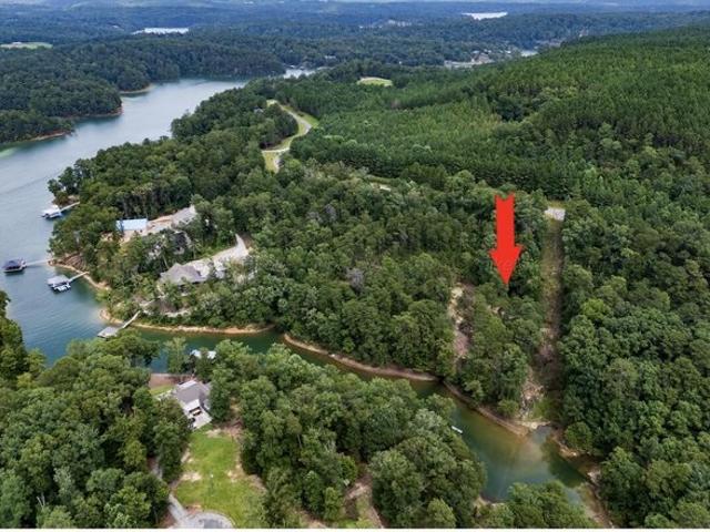 Sipsey Overlook Rd Lots 40 & 41, Double Springs, AL 35553