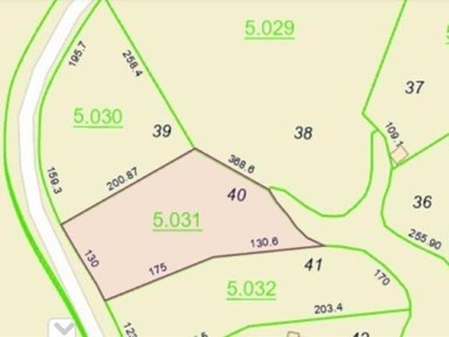 Sipsey Pines Rd Lot 40, Arley, AL 35541
