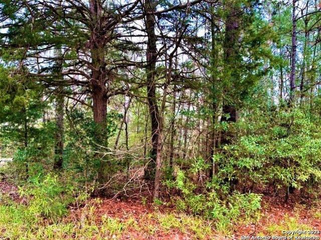 Sir Robert Burns Lot 159, Woodville, TX 75979