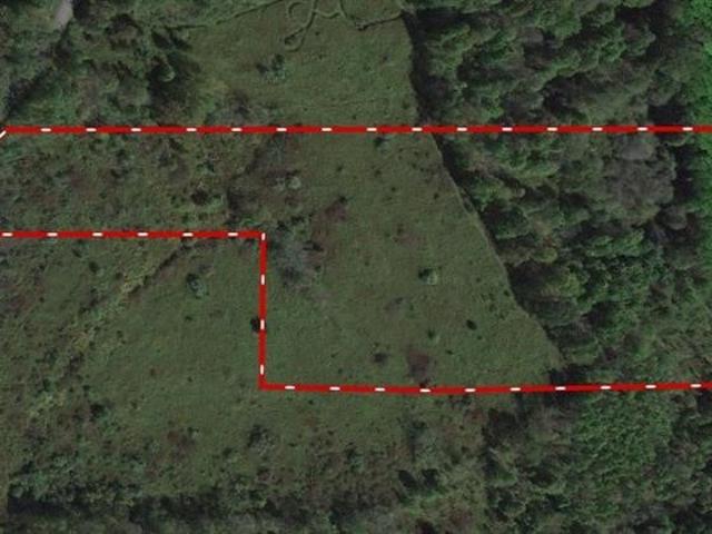Sisson Hill Road
