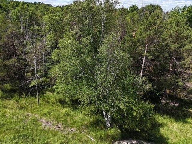 Site Cottage Bluff Ln # 2, Fish Creek, WI 54212