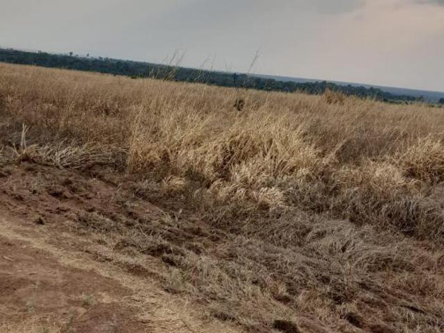 Sítio