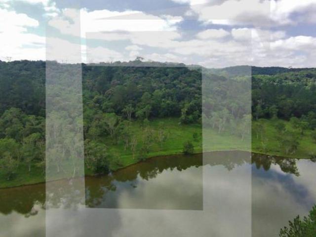 SÍTIO 40 ALQUEIRES COM REPRESA CIDADE: SÃO LOURENÇO DA SERRA SP COD: 6100 F: 11 97302 9229 CESAR