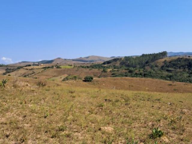 Sítio 40 Hectares