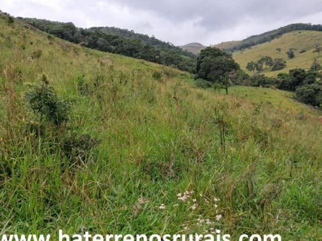 Sítio 41 Hectares