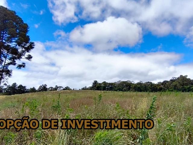 Sítio 432.000 m² Campina Grande do Sul/Pr