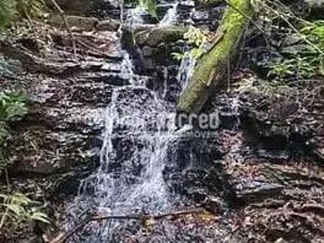 Sítio