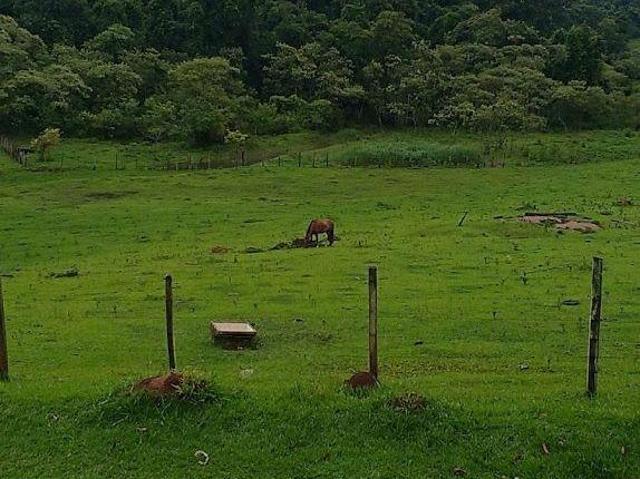 Sítio para venda em Itupeva