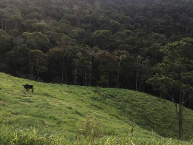 Sítio 44 Hectares