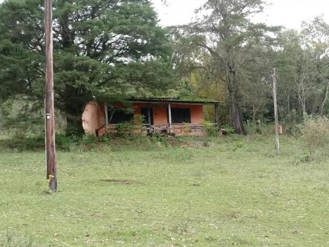 Sítio