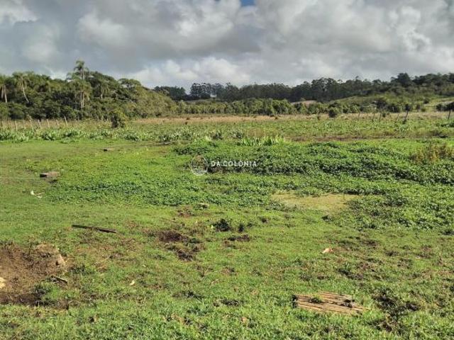 Sítio para venda em Centro, Torres