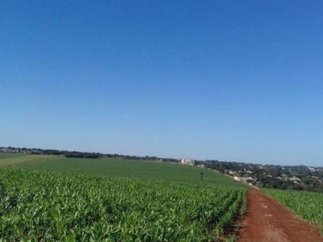 Sitio 4 Alqueires 9,68 hectares