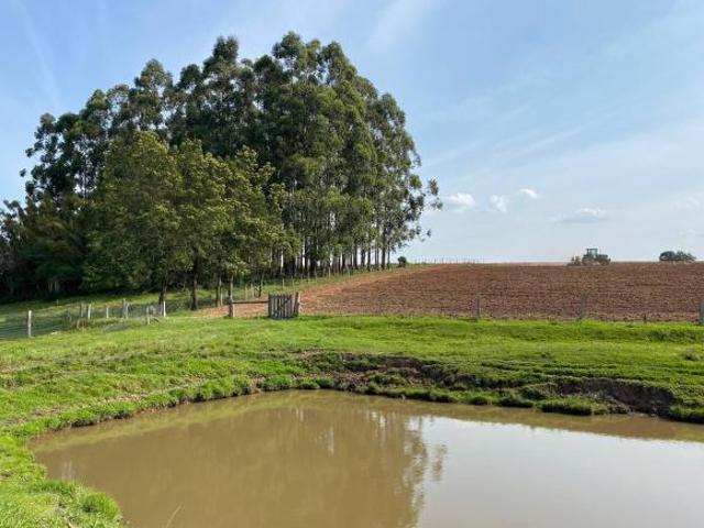 Sítio 4,0 hectares – Rincão São João – Glorinha RS