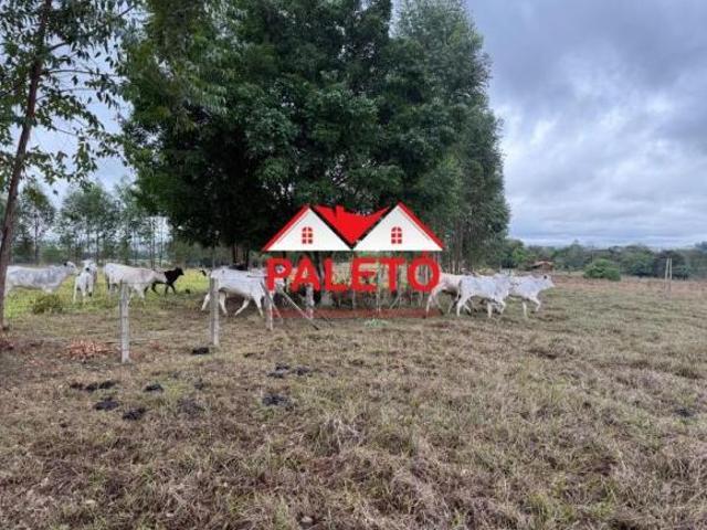 Sítio 4,75 alqueires a venda na cidade de Porangaba, interior de SP, açudes, água sabesp, inetrnet f