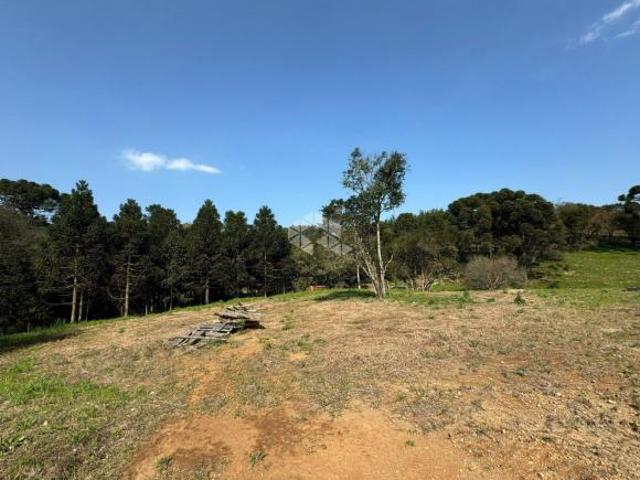 SÍTIO 4KM DO CENTRO DE CARLOS BARBOSA COM 7085M²