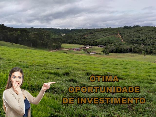 Sítio 51,80 alqueires Bocaiuva do Sul