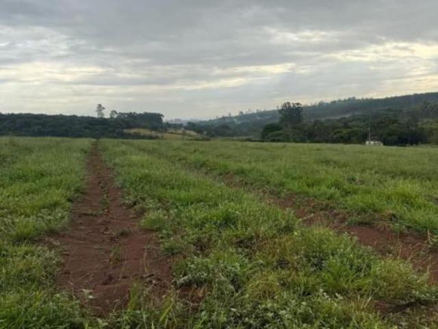 Sítio 52 mil pés café mecanizados