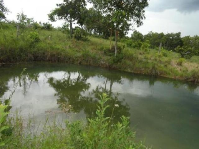 Sítio