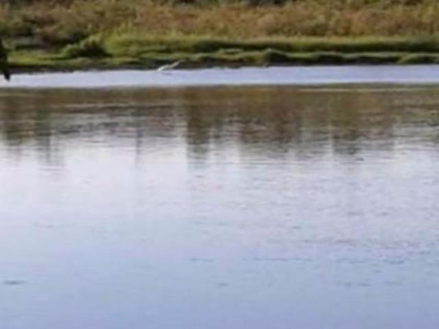 Sítio