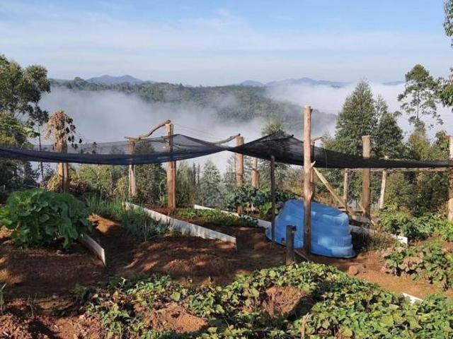 Sítio para venda em Campo Magro