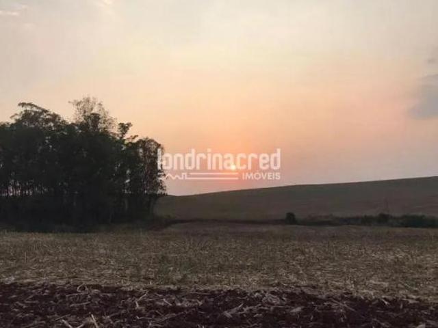 Sítio para venda em Guairacá, Londrina
