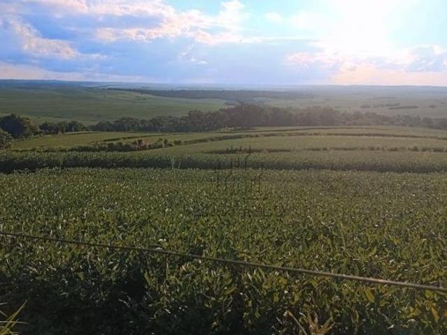 Sítio para venda em Centro, Bela Vista do Paraíso