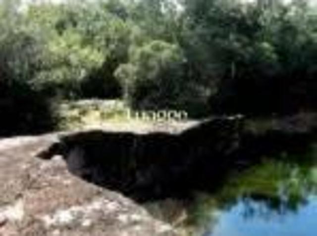 Sítio