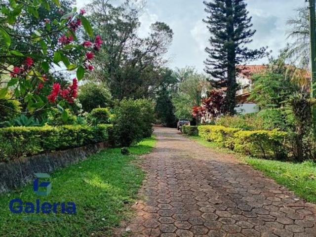 Sítio 5 hectares à venda região de Ribeirão Preto, próximo a São Simão SP