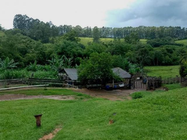 Sítio 5.5 Alqueires à venda em Caldas – MG. R$900.000,00