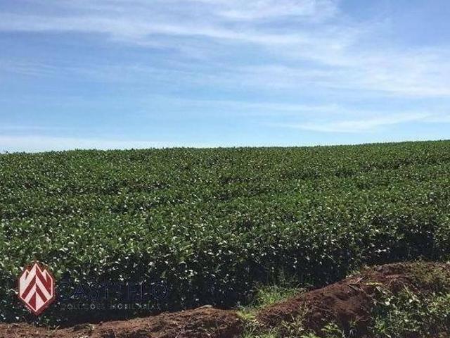 Sítio para venda em Londrina