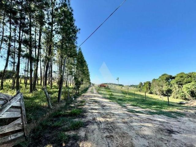 Sítio para venda em Cercadinho, Alambari